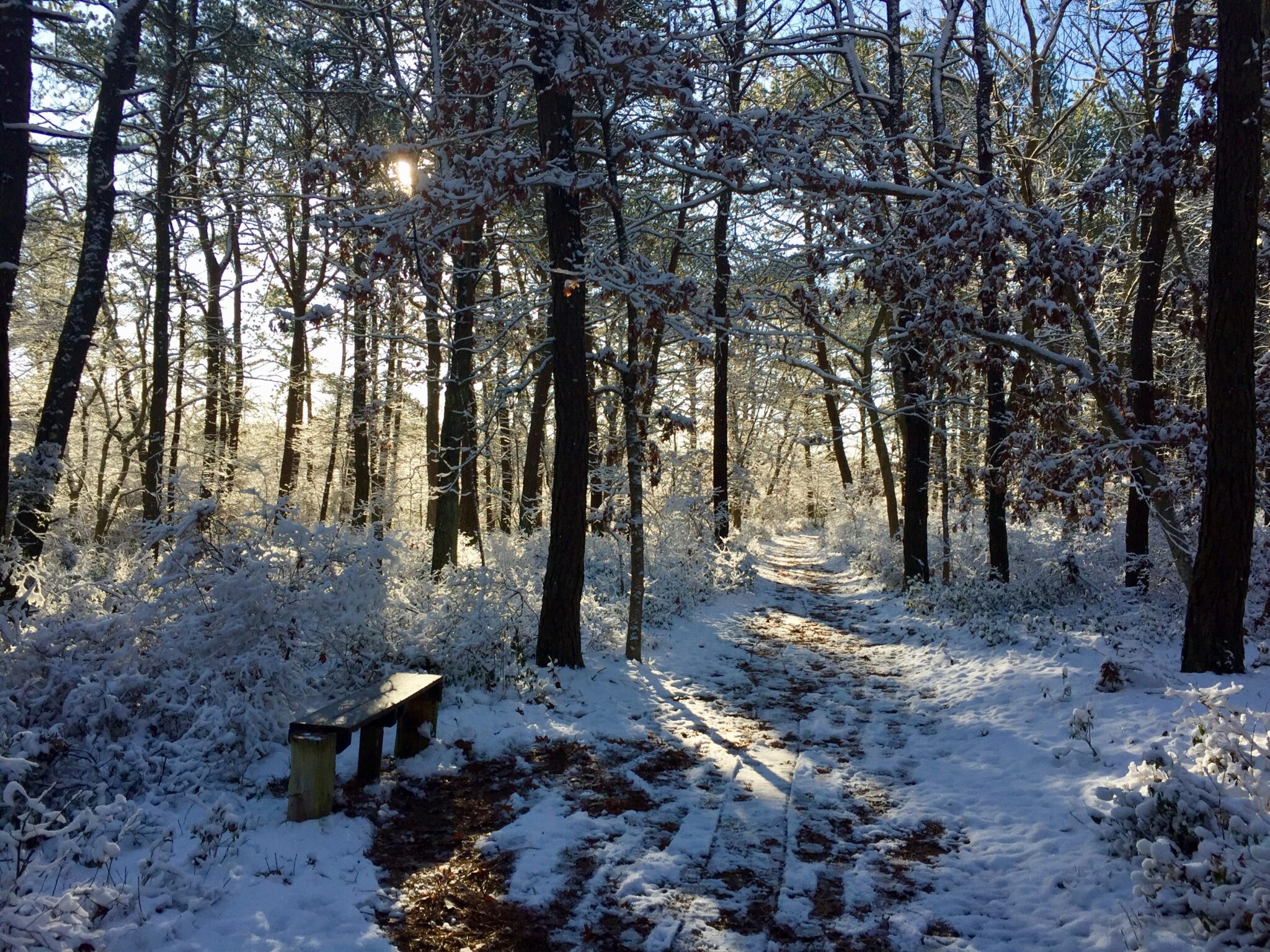 Sunset Winter Solstice Hike | Quogue Wildlife Refuge